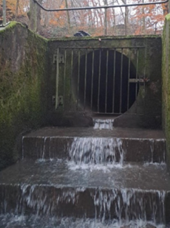 How many storm overflows are there in the North West? | United ...